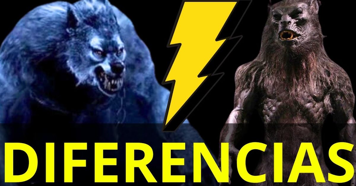 DIFERENCIAS entre HOMBRES LOBO y LICÁNTROPOS (Tipos Explorados ...